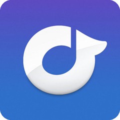 Rdio on Roku – Auxiliary Memory