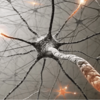 About – Auxiliary Memory