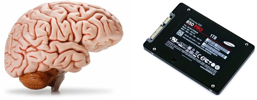 What If Human Memory Worked Like A Computer’s Hard Drive? – Auxiliary ...