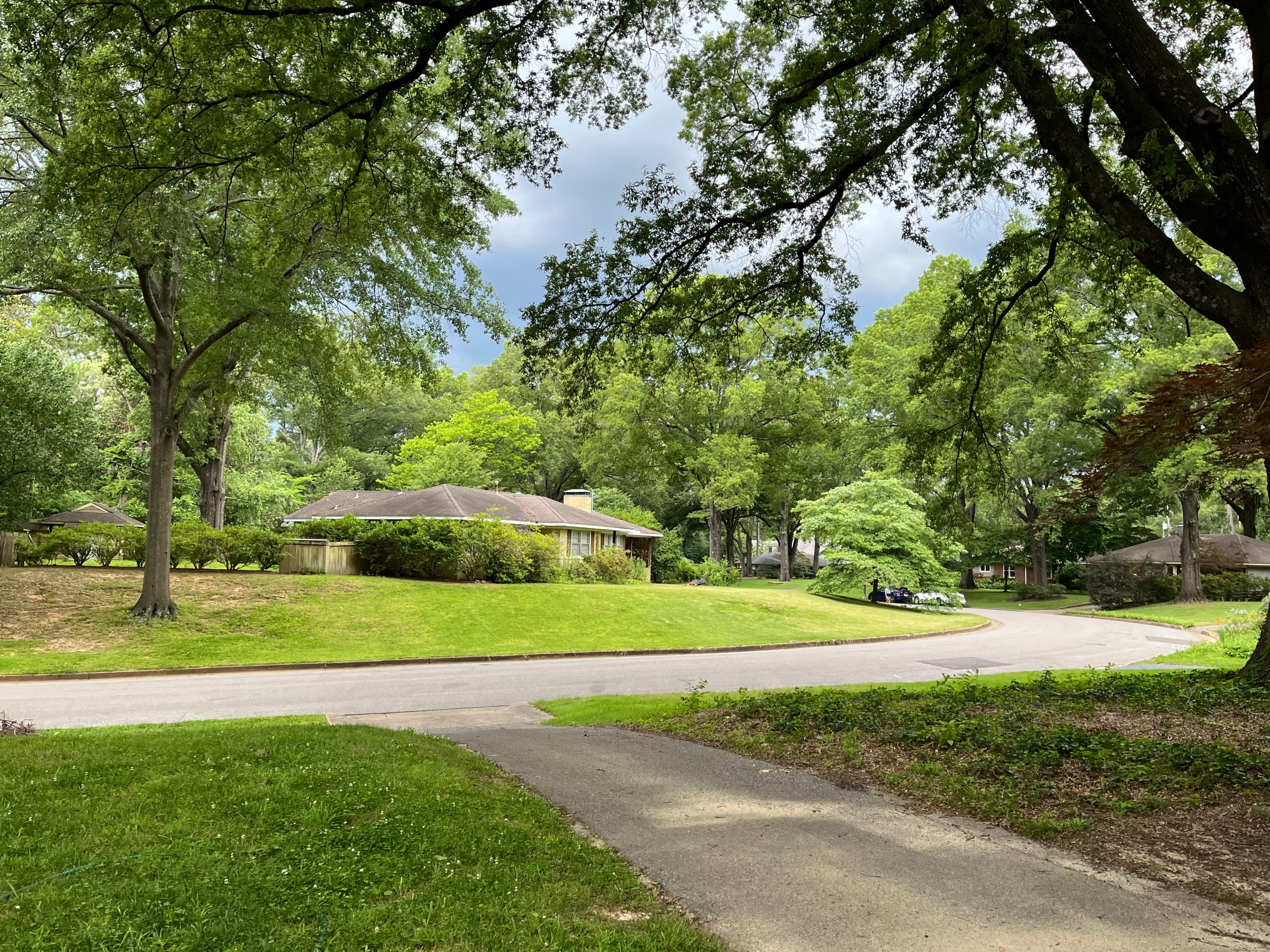 Paradise Lost – What if Our World is Heaven? – Auxiliary Memory